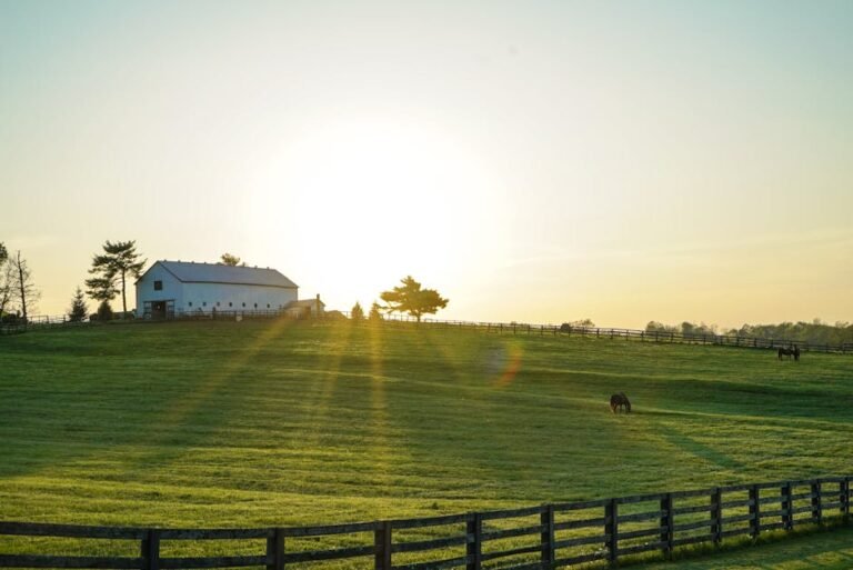 Kentucky DMV Practice Test 2025 – Free Kentucky Permit & Driver’s ...