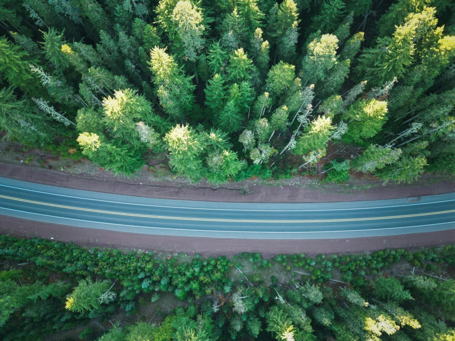 Oregon DMV Permit Practice Test 2026 – Free & Updated