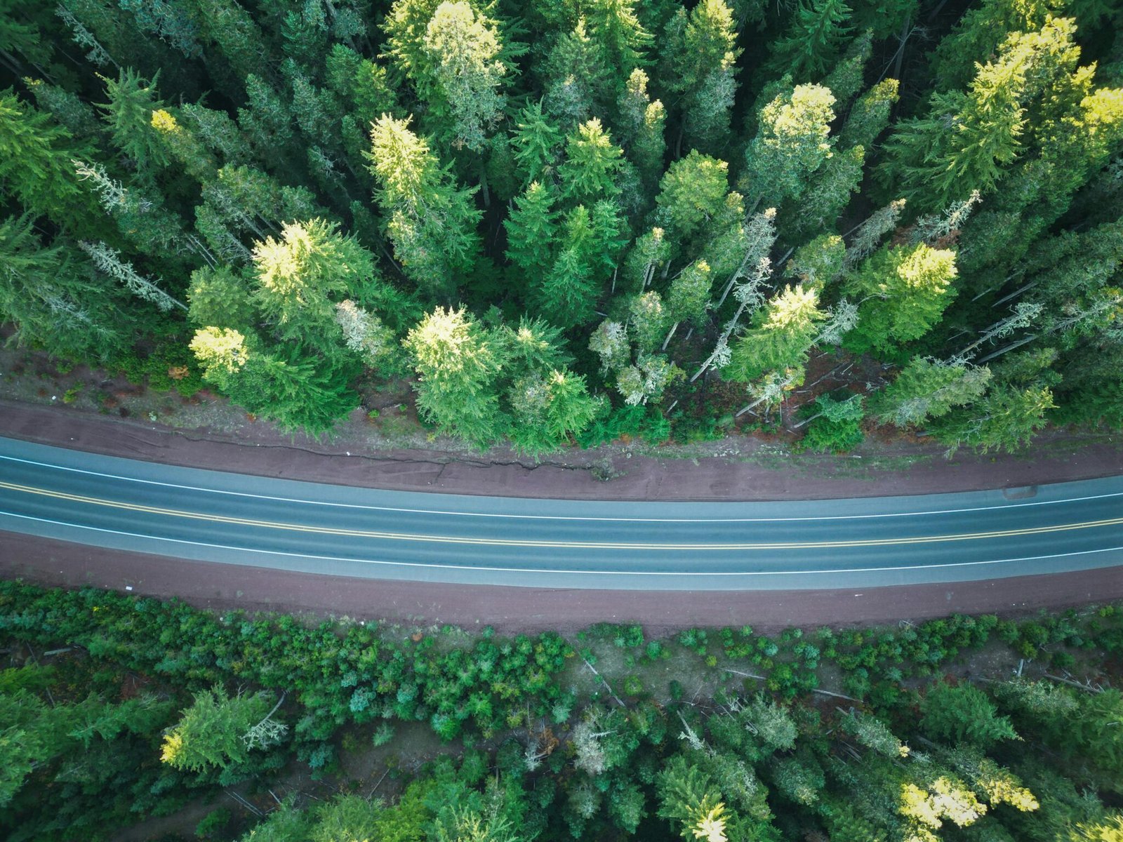 Oregon DMV Permit Practice Test 2026 – Free & Updated